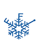 Frozen Fruit International